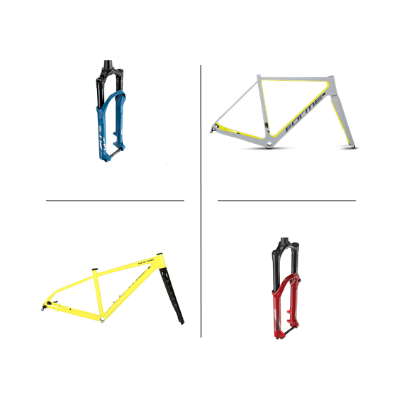 Frame & Forks